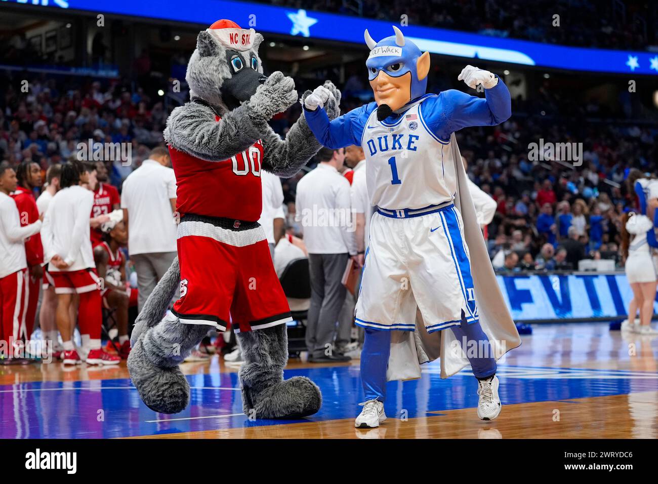 Mascots for North Carolina State, left, and Duke take the court during ...