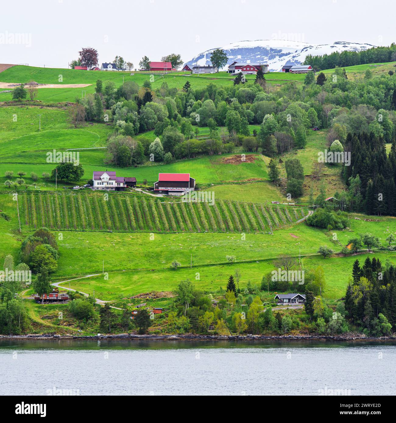 Mountains and Fiord over Norwegian Village, Olden, Innvikfjorden ...