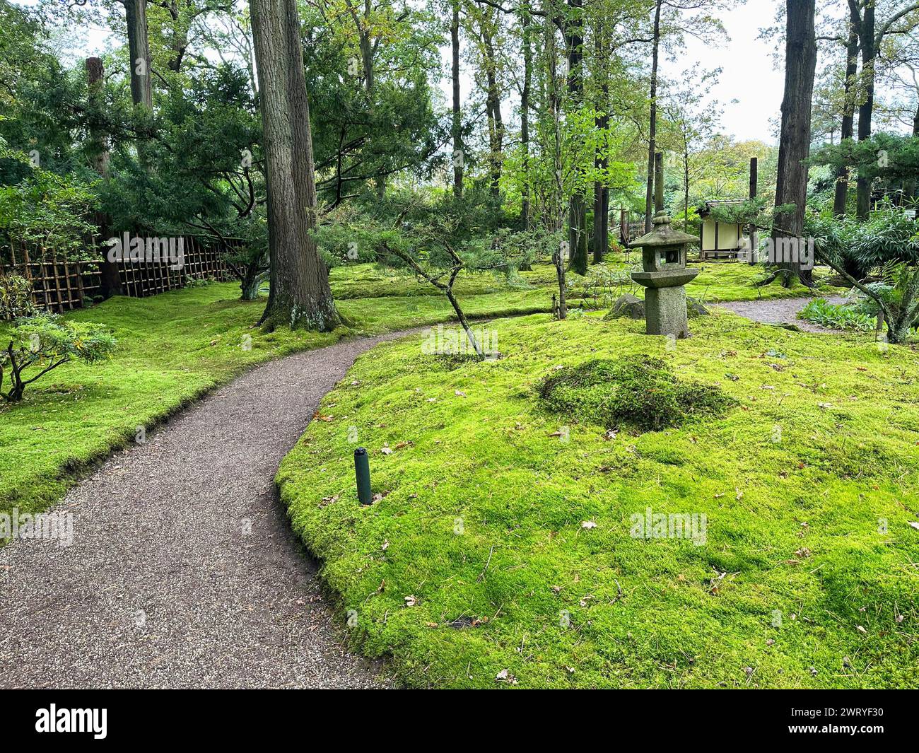 Bright moss, different plants, stone lantern and pathway in Japanese ...