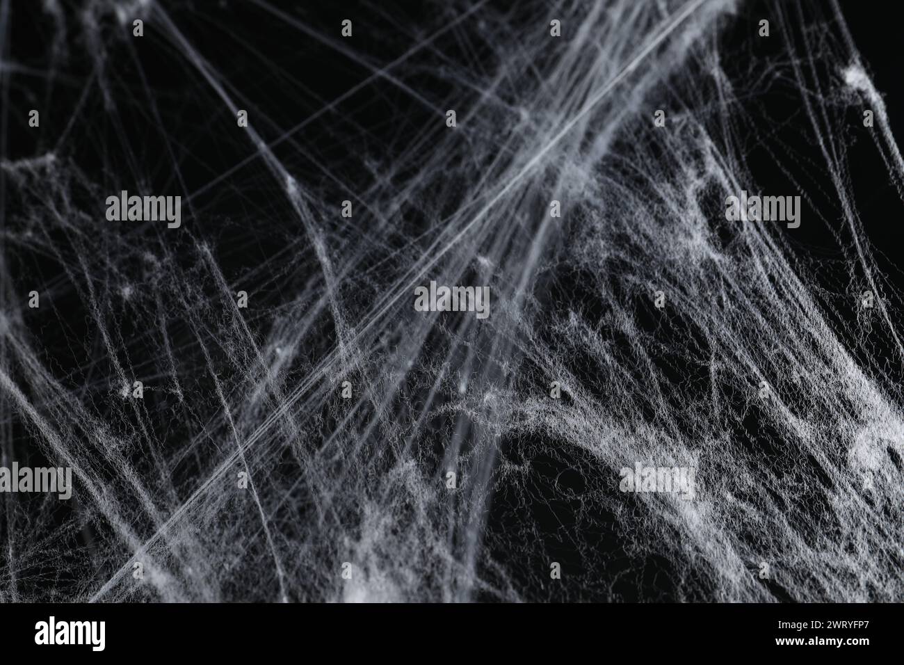 Creepy white cobweb on black background, closeup Stock Photo - Alamy