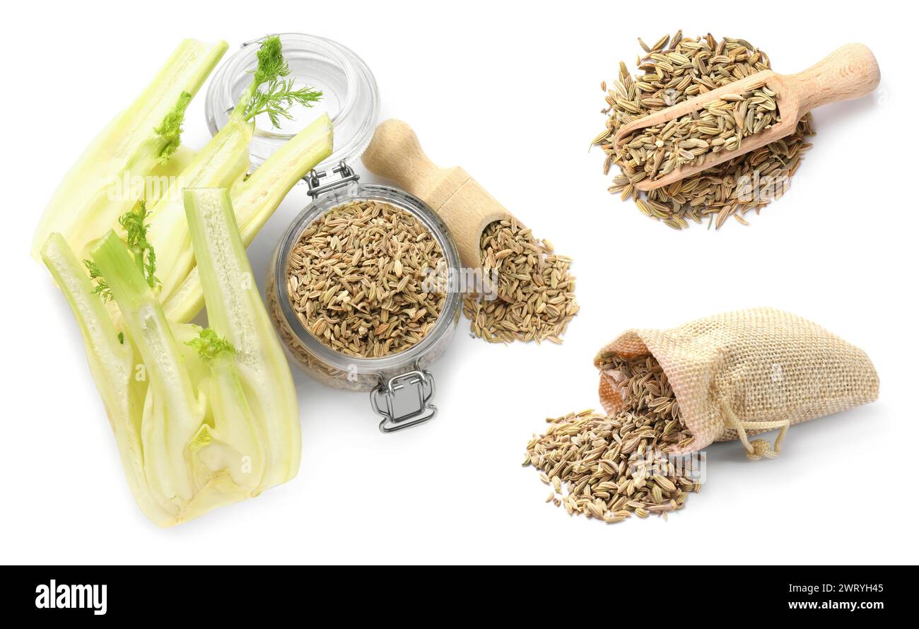 Bulbs seeds Cut Out Stock Images & Pictures - Alamy