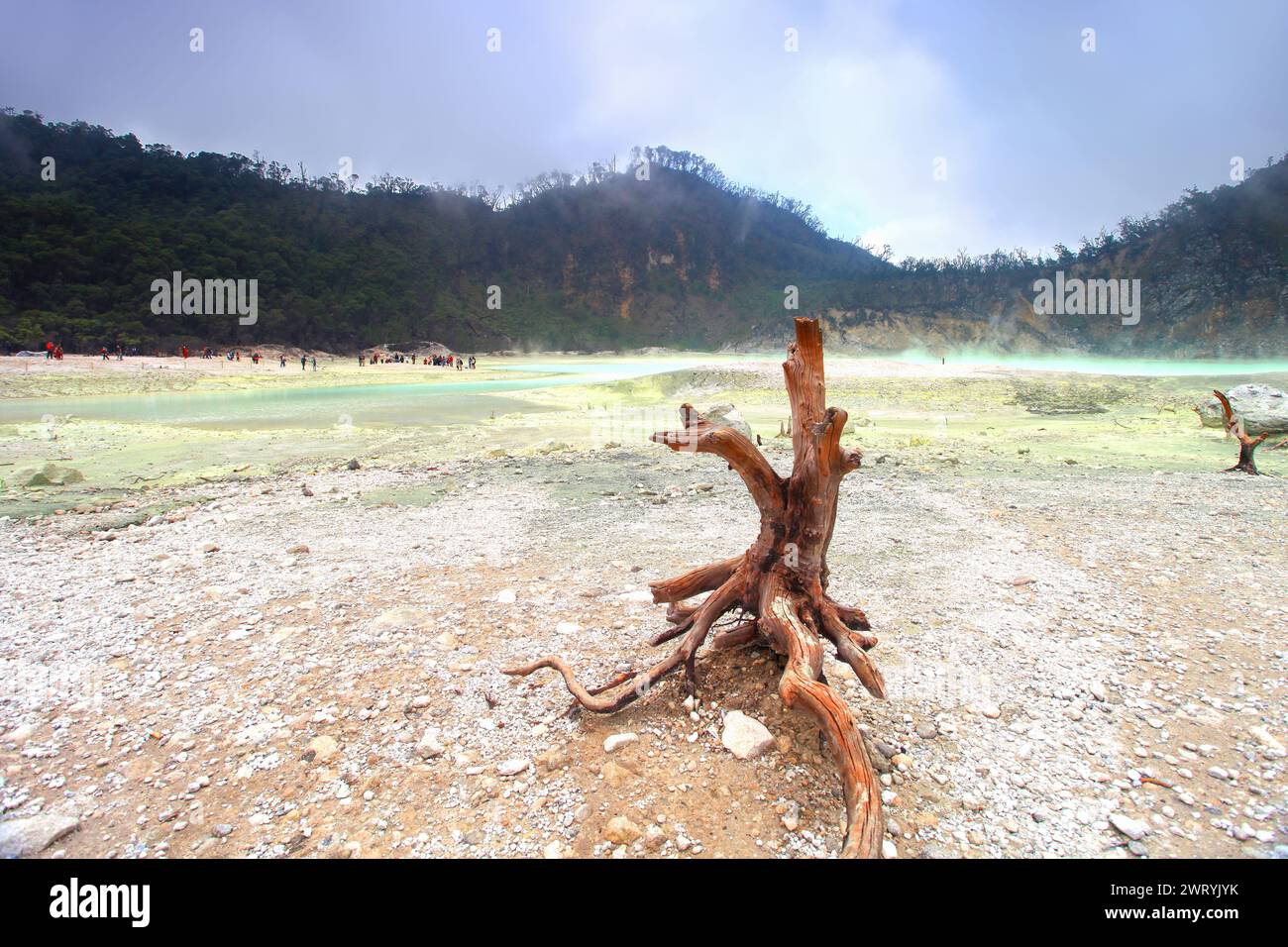 Kawah Putih or White Crater, a volcanic sulphur lake in Ciwidey ...
