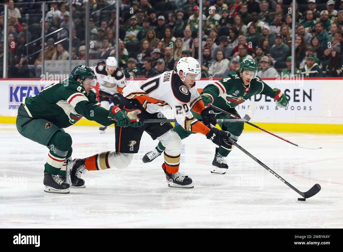 Anaheim Ducks right wing Brett Leason (20) advances the puck against ...