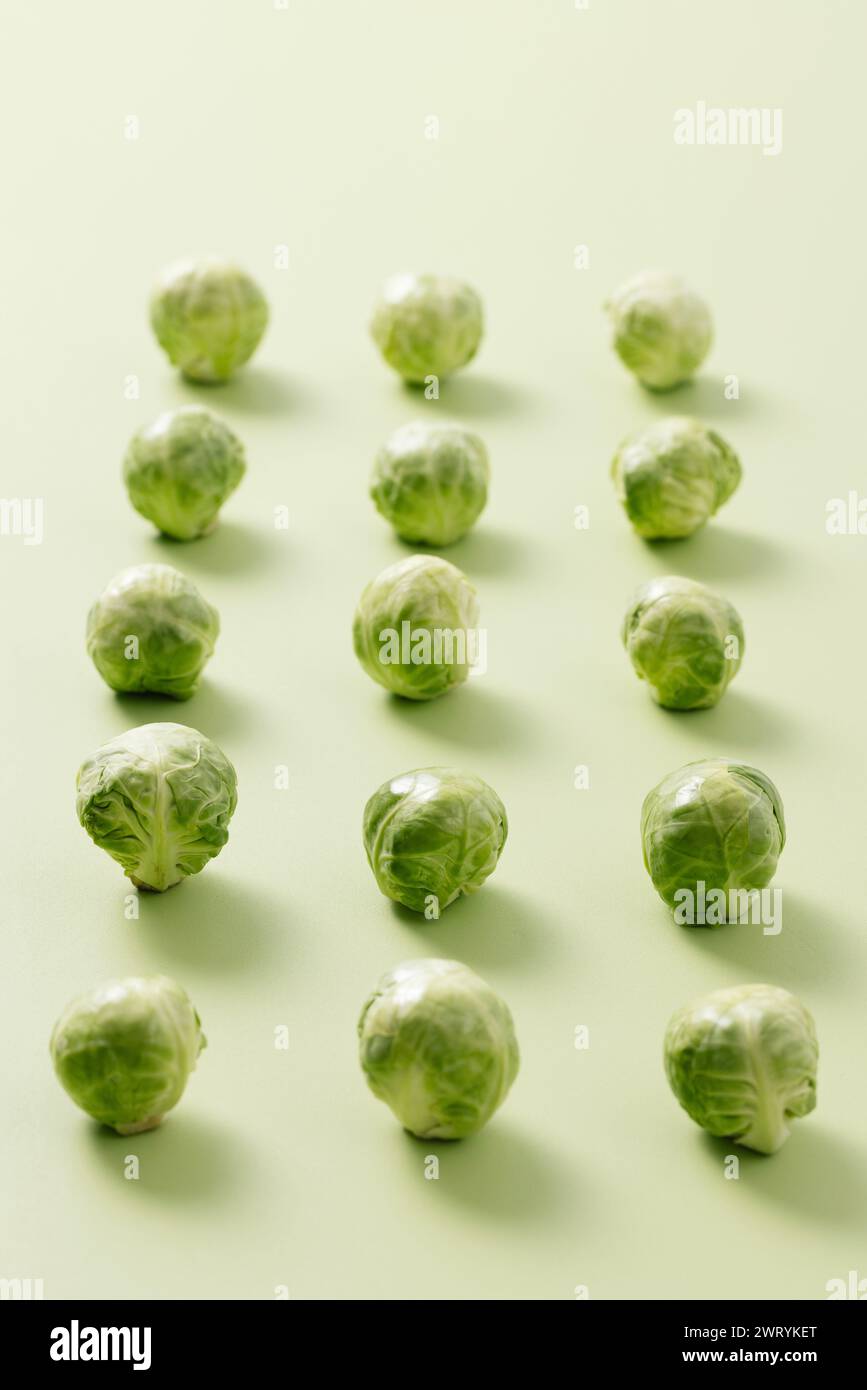 Mini cabbage arranged in a square shape on a light green background ...