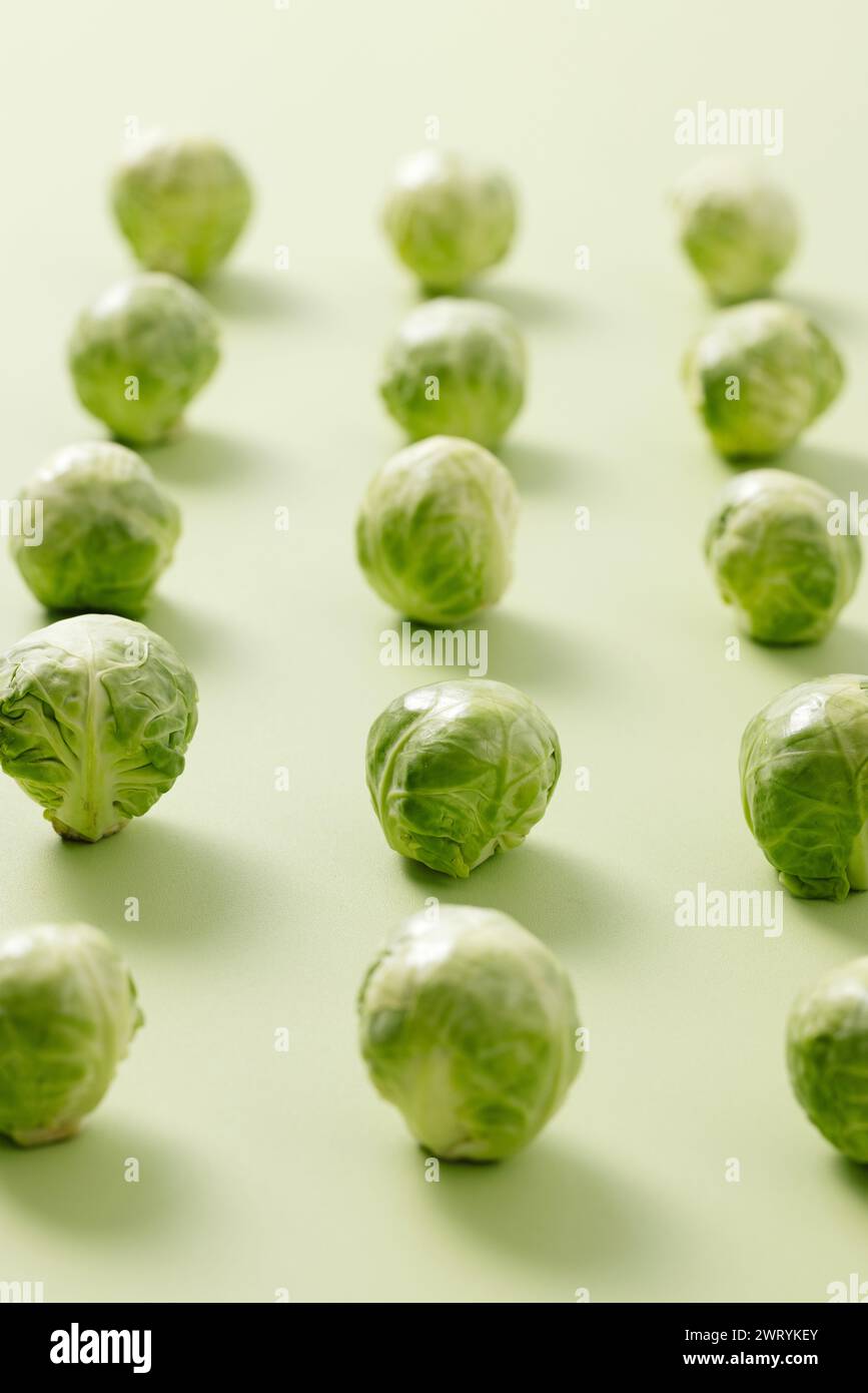 Mini cabbage arranged in a square shape on a light green background ...