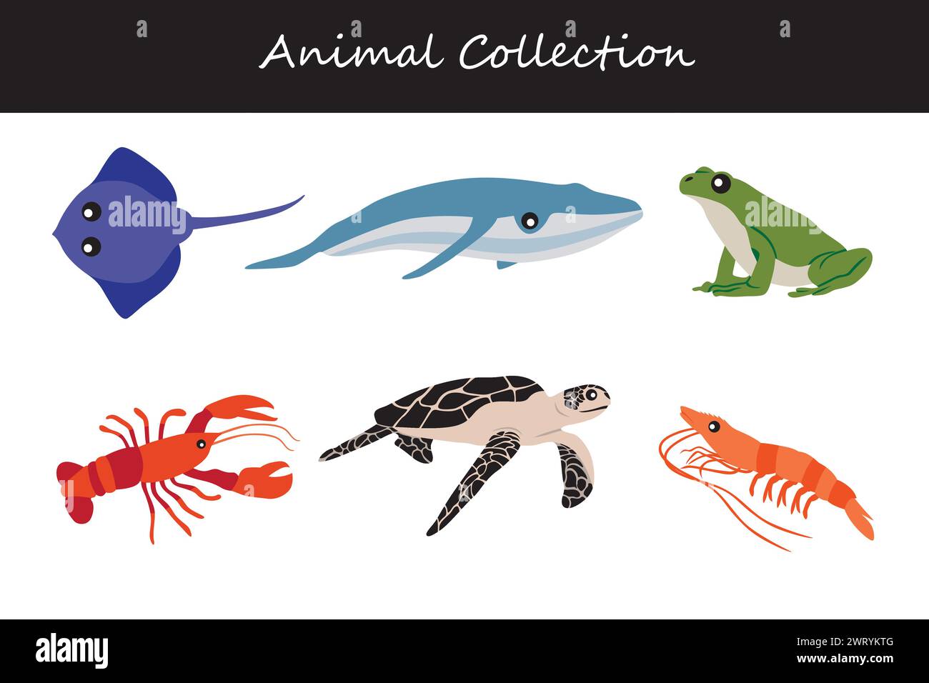 Animals collection isolated on white background. Flat style vector ...