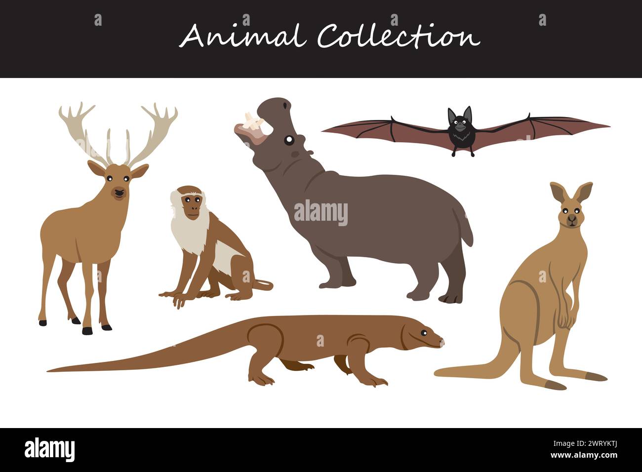 Animals collection isolated on white background. Flat style vector ...
