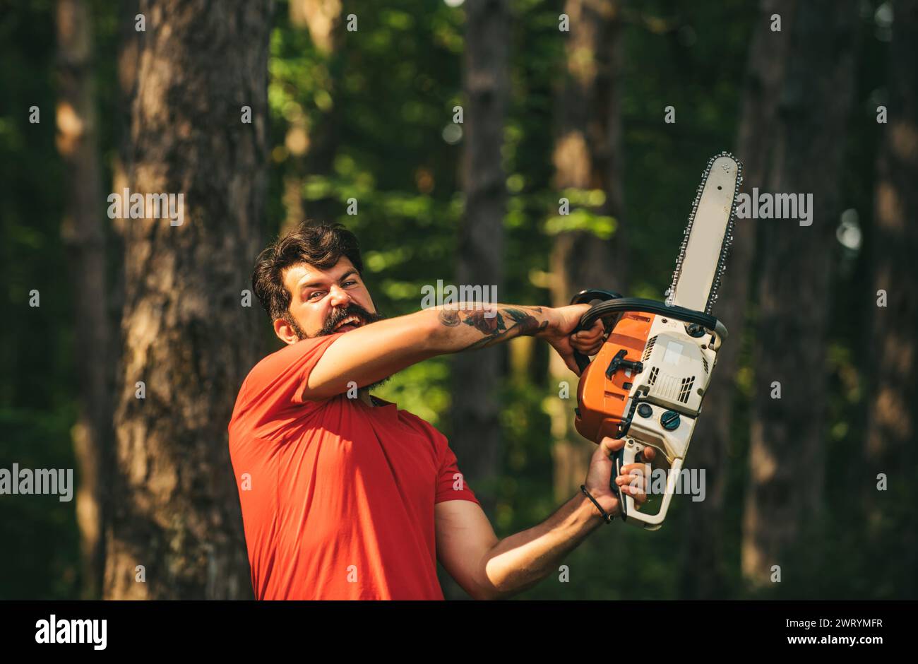 The Lumberjack working in a forest. Deforestation is a major cause of ...