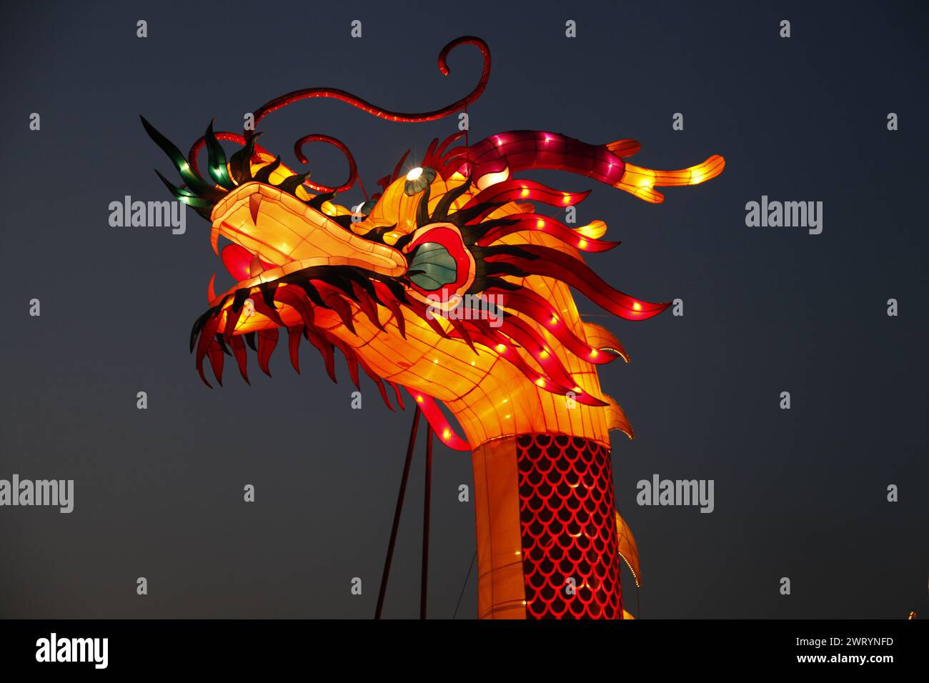 The Chinese dragon lantern Stock Photo - Alamy