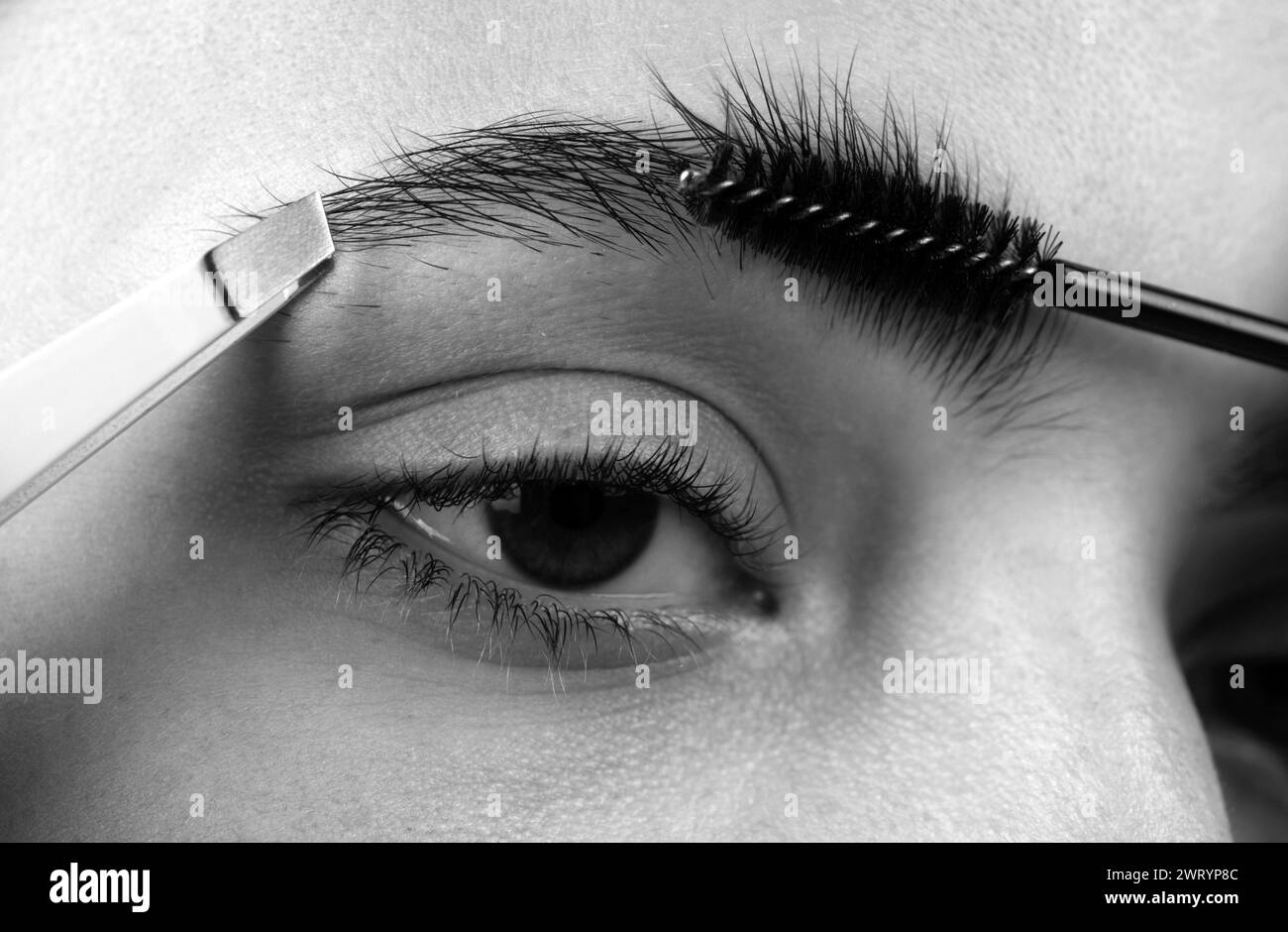 Eyebrow makeup. Macro close up of brows. Woman brushing brows with brows brush closeup ...