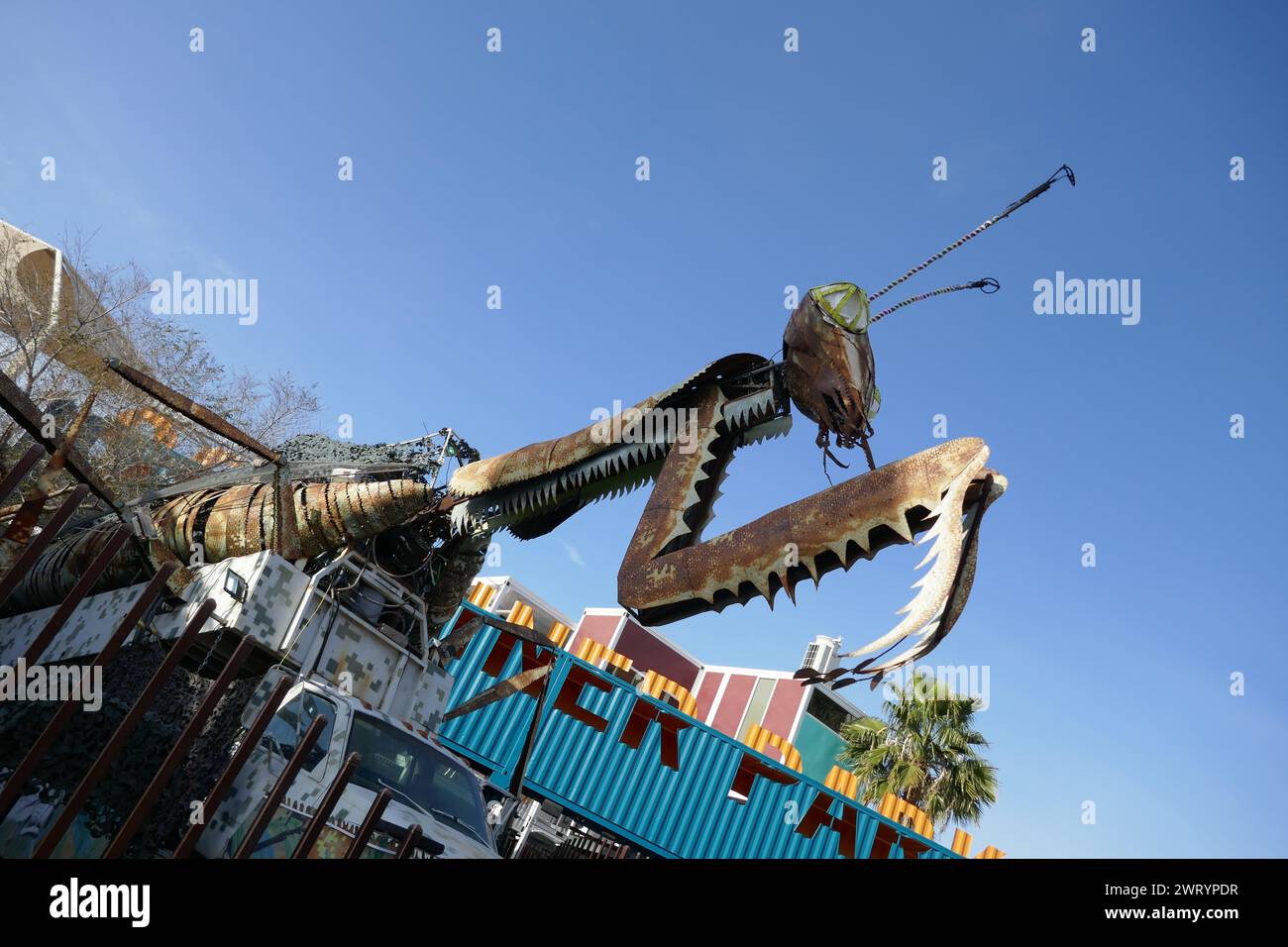 Las Vegas, Nevada, USA 7th March 2024 Praying Mantis at The Container Park at Fremont Street ...
