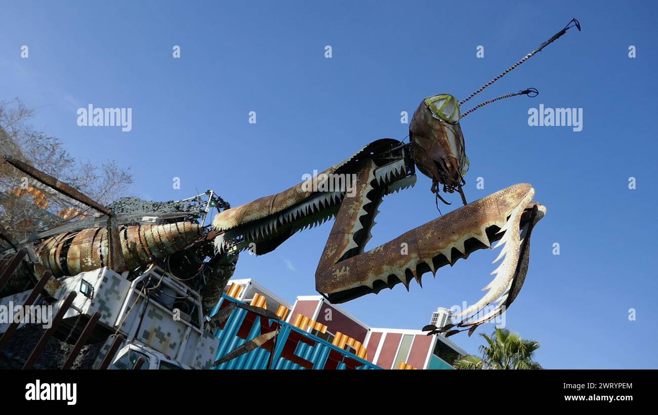 Las Vegas, Nevada, USA 7th March 2024 Praying Mantis at The Container ...