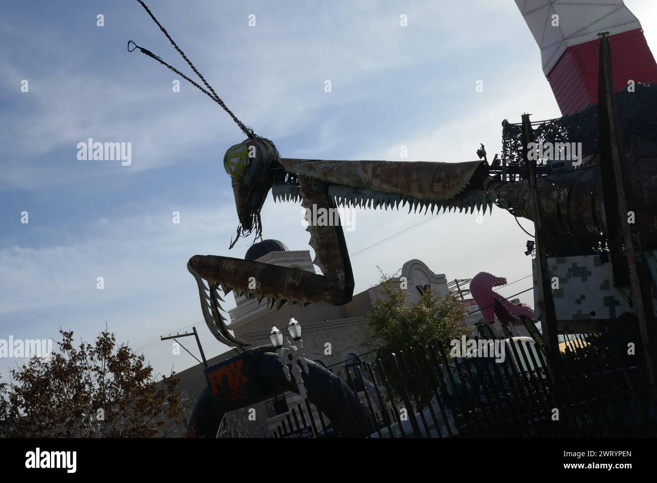 Las Vegas, Nevada, USA 7th March 2024 Praying Mantis at The Container ...