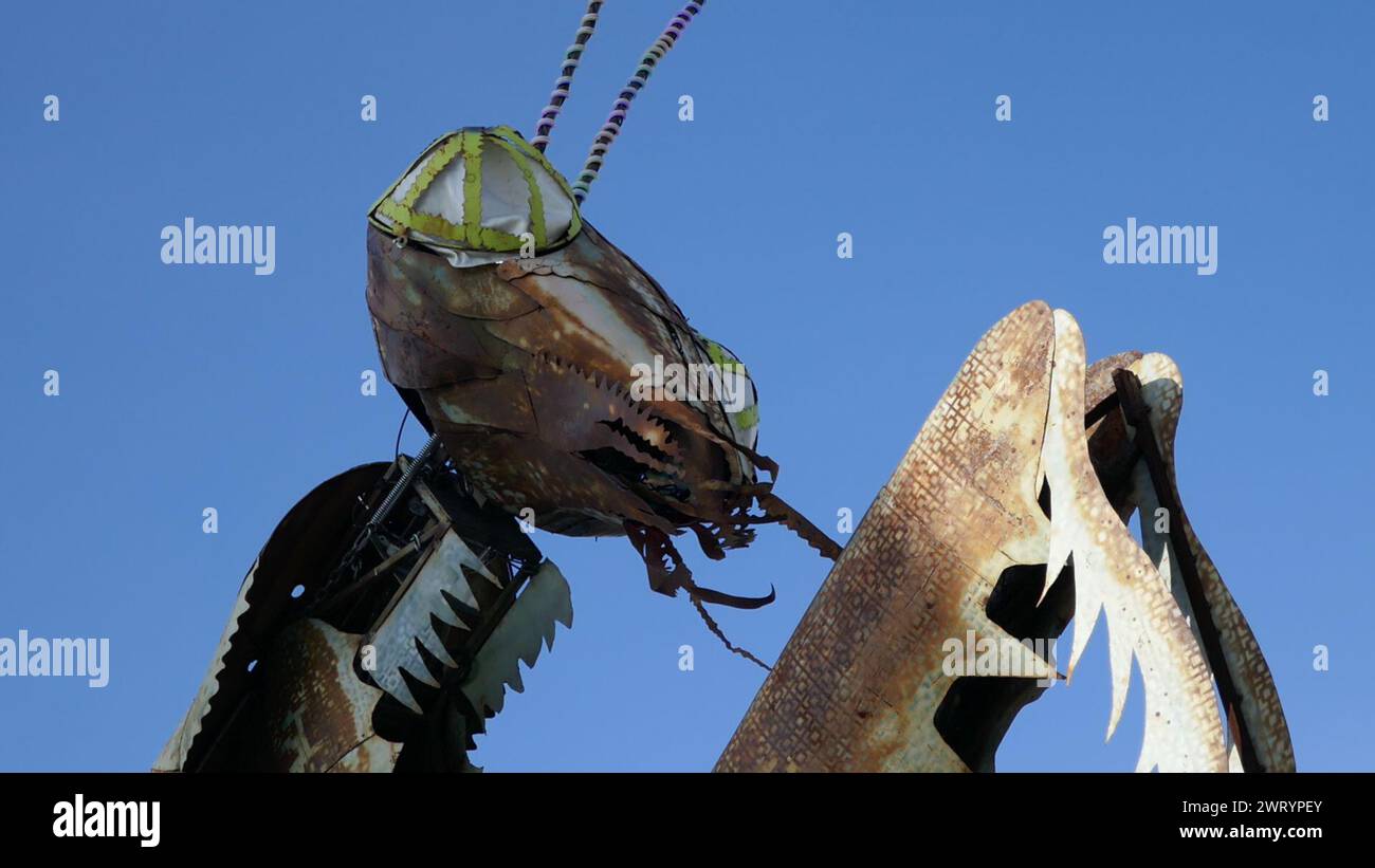 Las Vegas, Nevada, USA 7th March 2024 Praying Mantis at The Container Park at Fremont Street ...