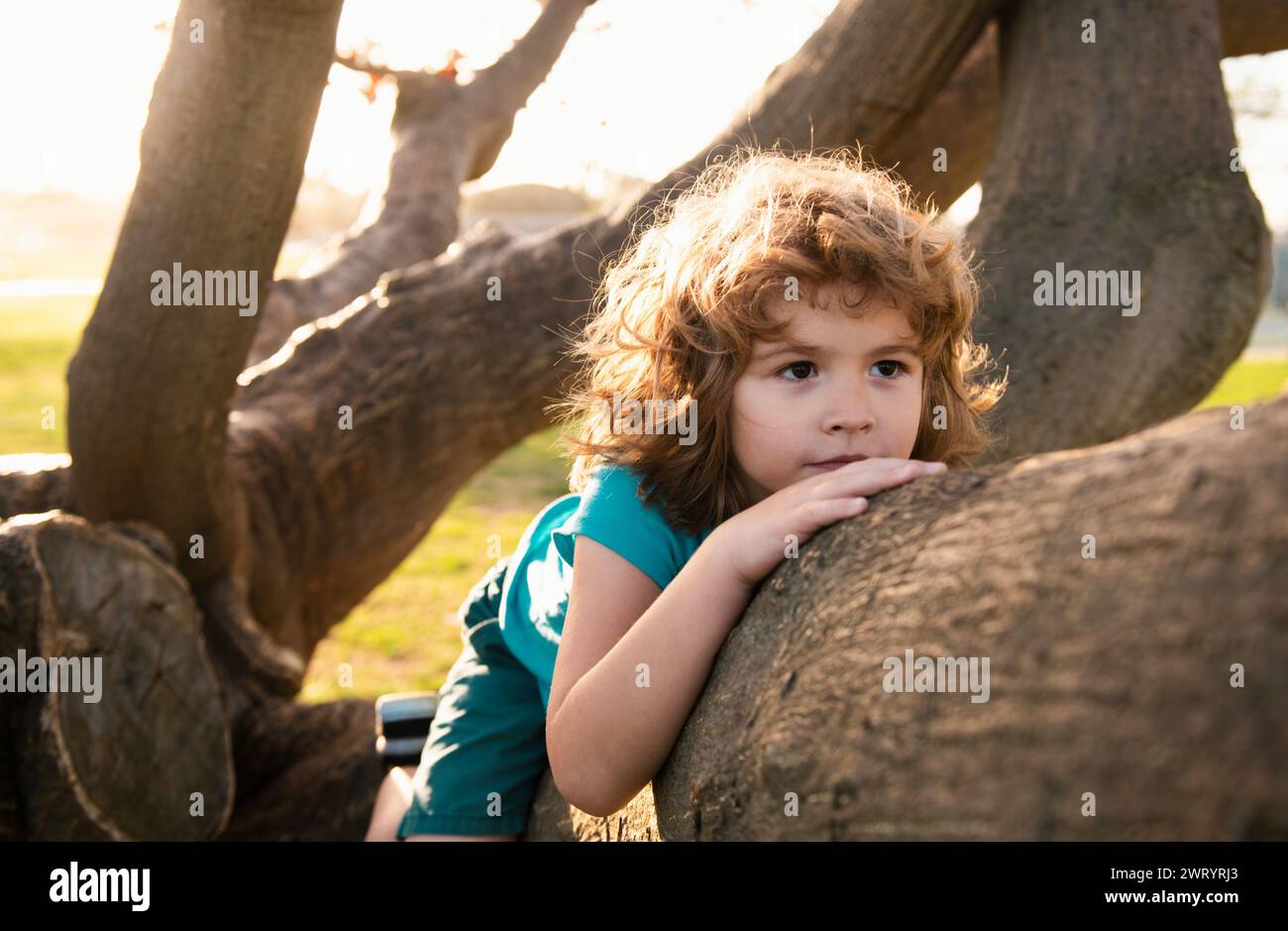 Cute caucasian kid boy happily lying in a tree hugging a big branch ...