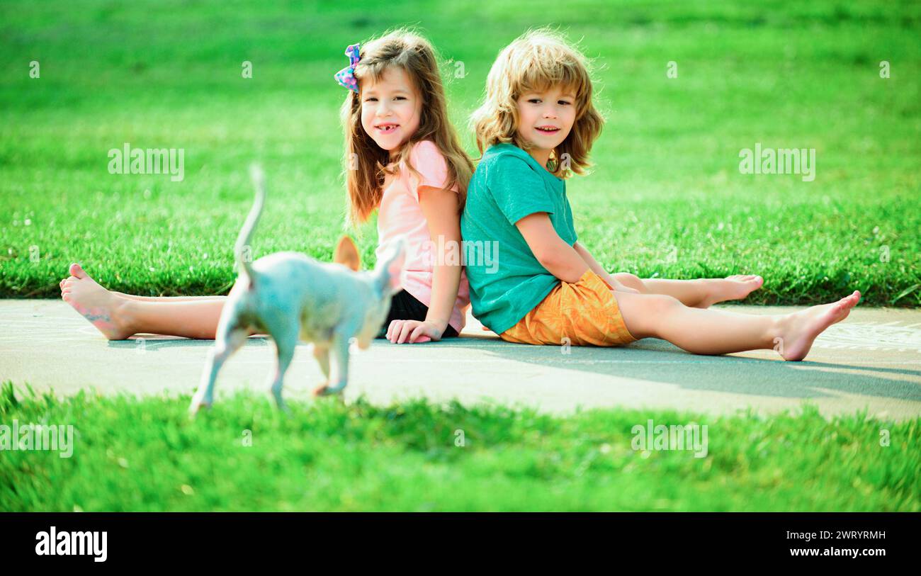 Kids playing outdoor with little dog at park. Kids adaptation Stock ...