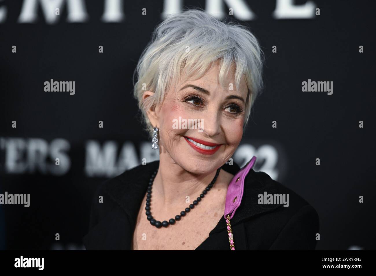 Annie potts ghostbusters hi-res stock photography and images - Alamy