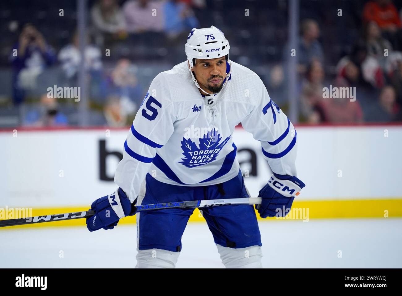 Toronto Maple Leafs' Ryan Reaves plays during an NHL hockey game ...