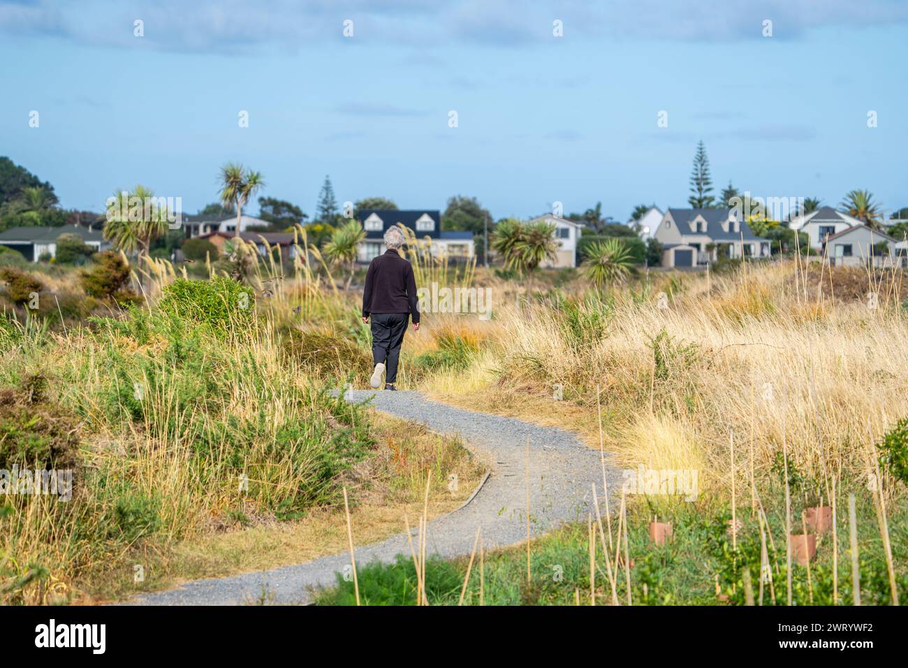 Waikanae New Zealand - February 27 2024; Walkway winding through ...