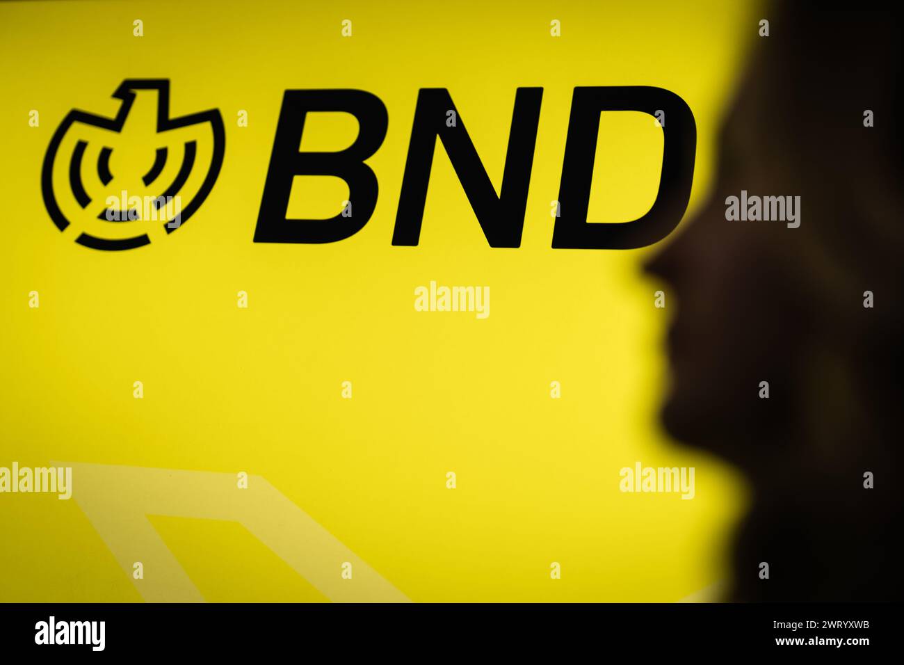 Berlin, Germany. 12th Mar, 2024. The new logo of the Federal ...