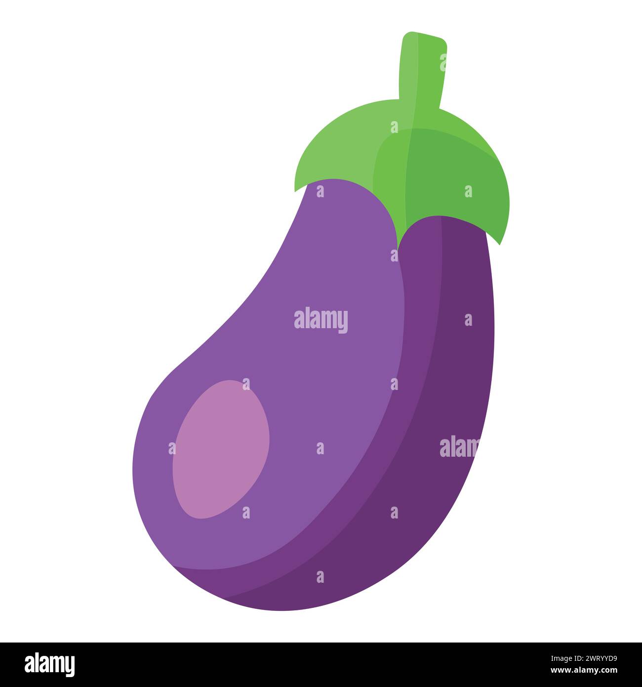 eggplant vector illustration on white background Stock Vector Image ...