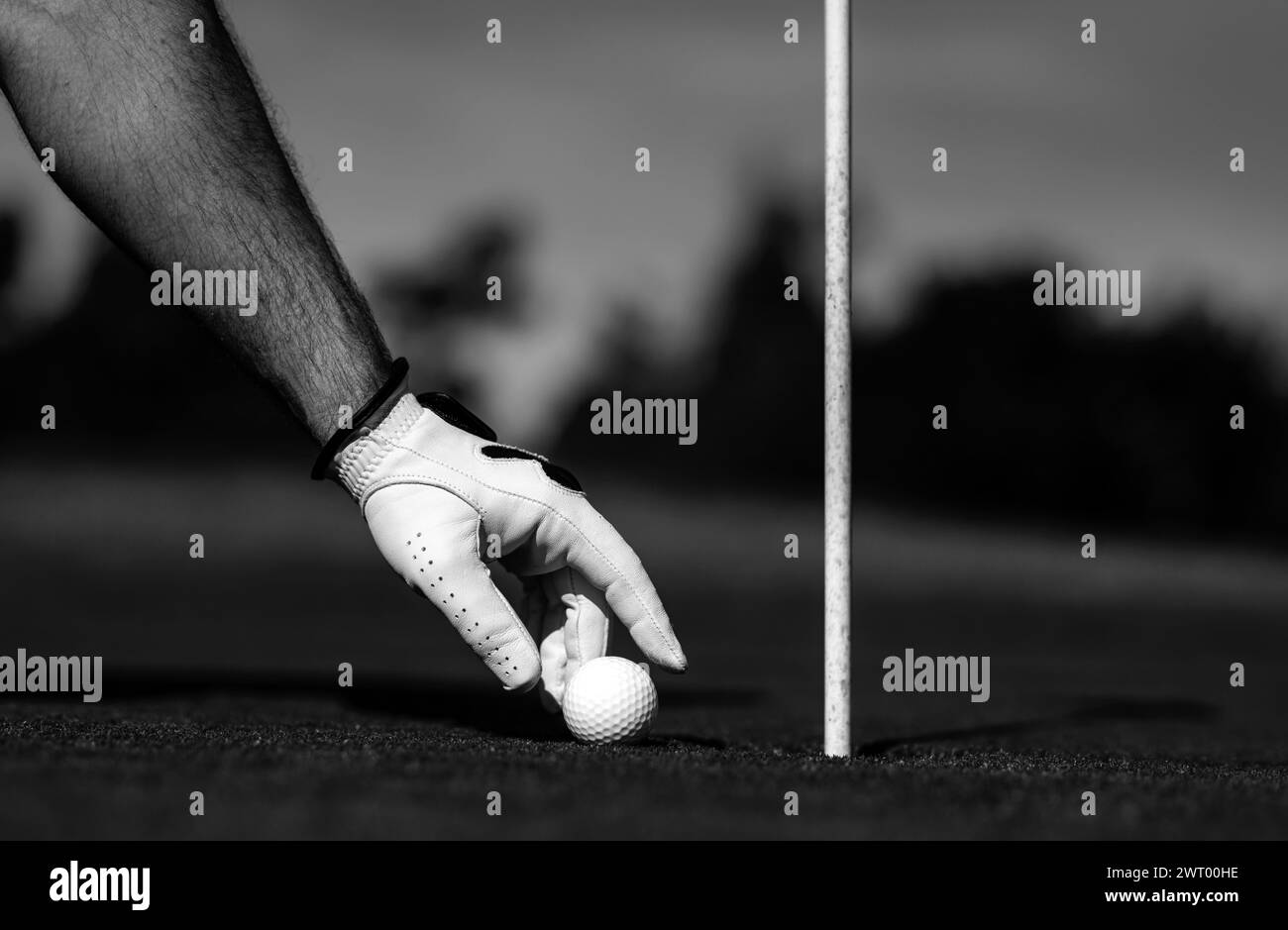 Hand hold golf ball. Golfer man with golf glove. Male golf player on ...
