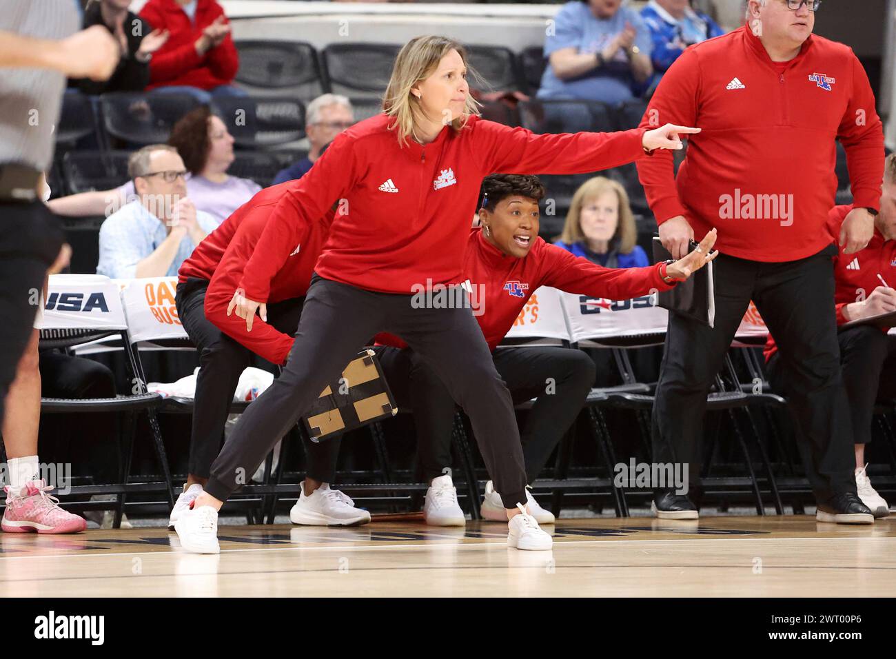 HUNTSVILLE, AL - MARCH 14: Louisiana Tech Lady Techsters head coach ...