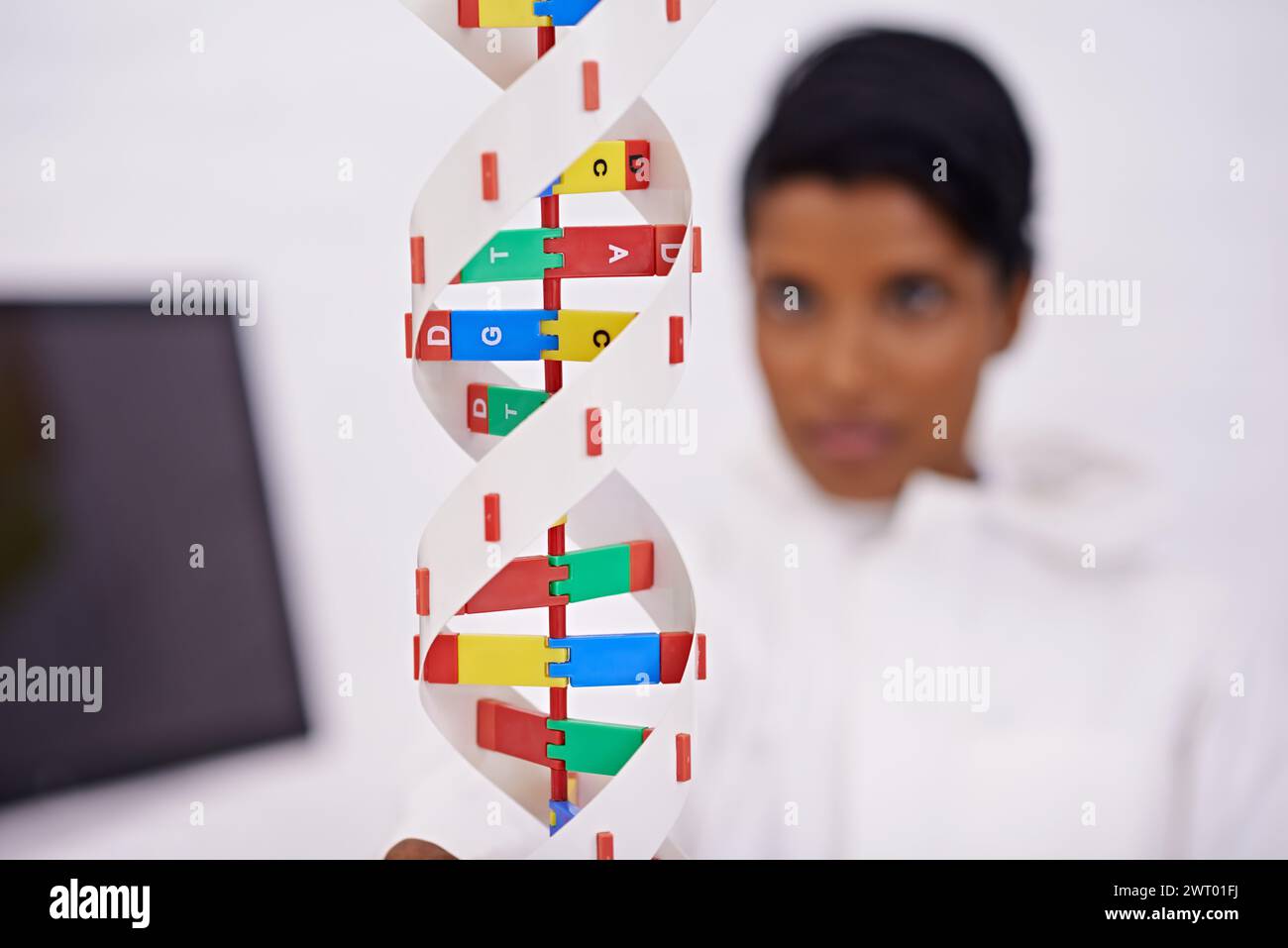 Female scientist studying molecular model hi-res stock photography and ...