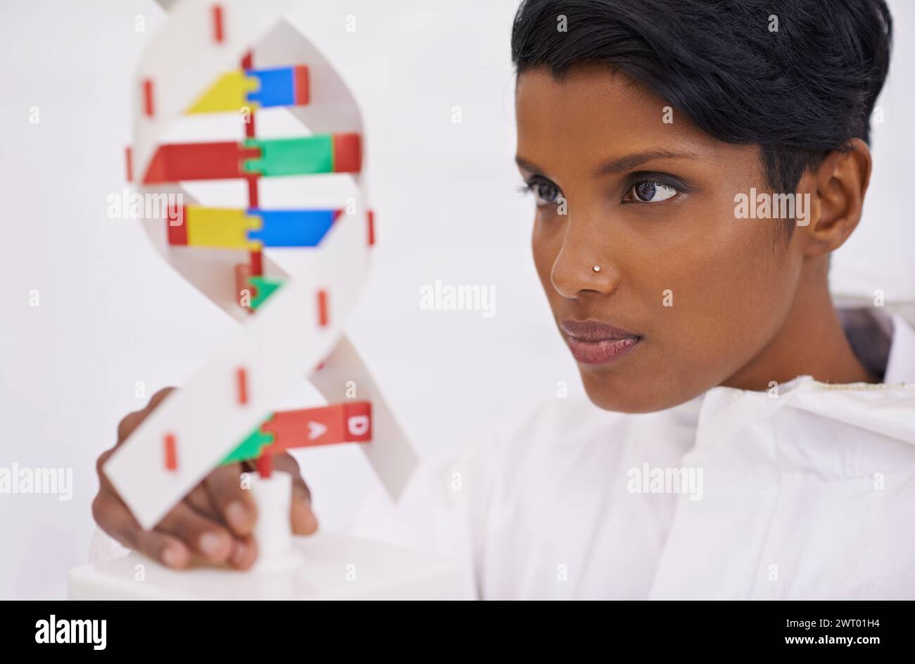 Female scientist studying molecular model hi-res stock photography and ...