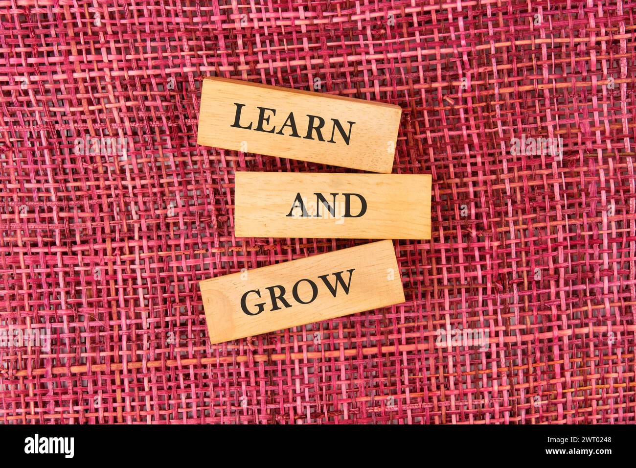 LEARN AND GROW on wooden blocks on a mesh background Stock Photo - Alamy