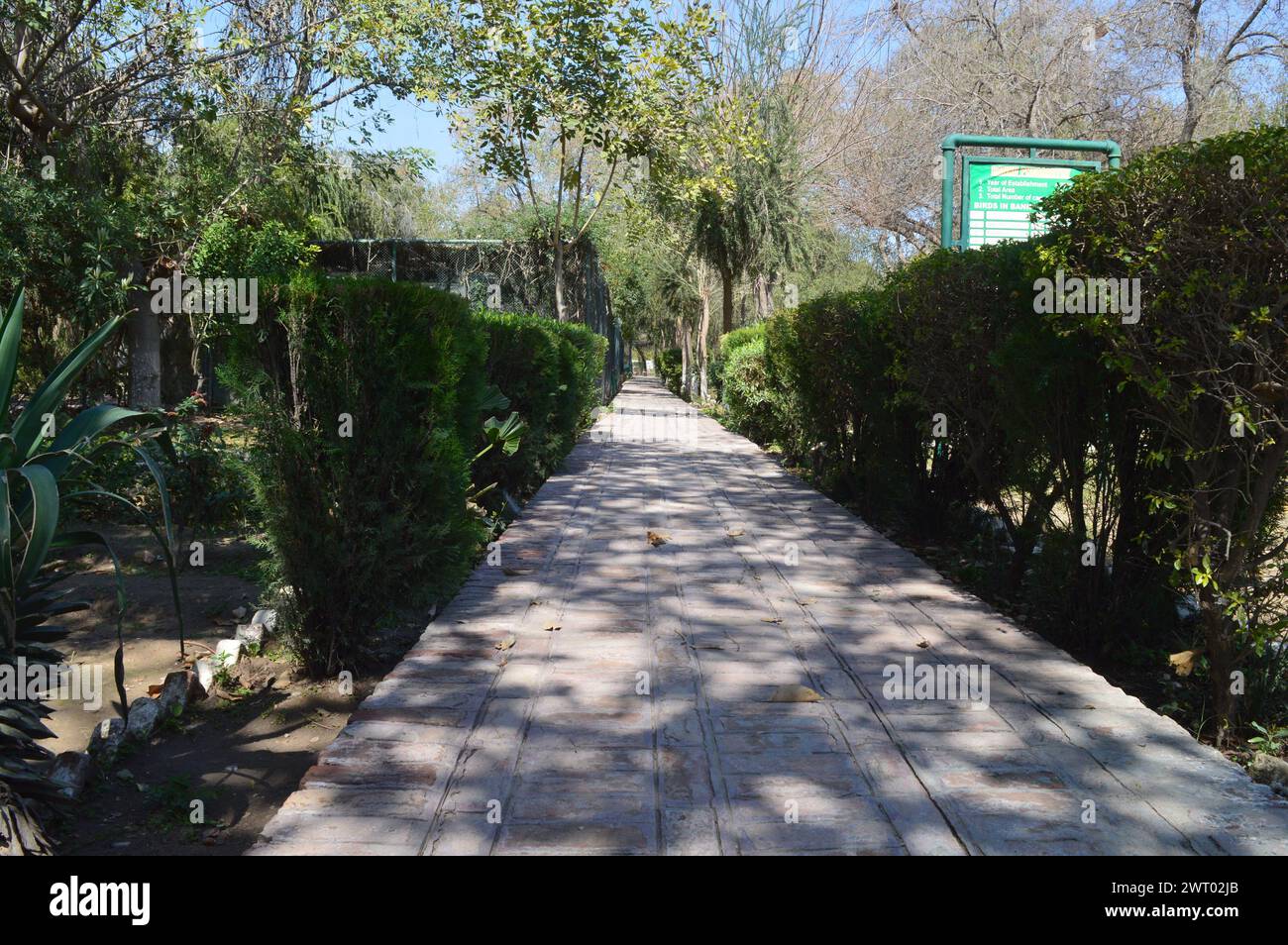 beautiful path image Stock Photo - Alamy