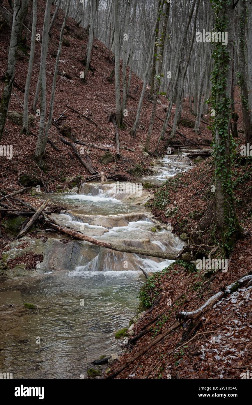 Mountain river in the autumn forest. Streams of water on a long ...
