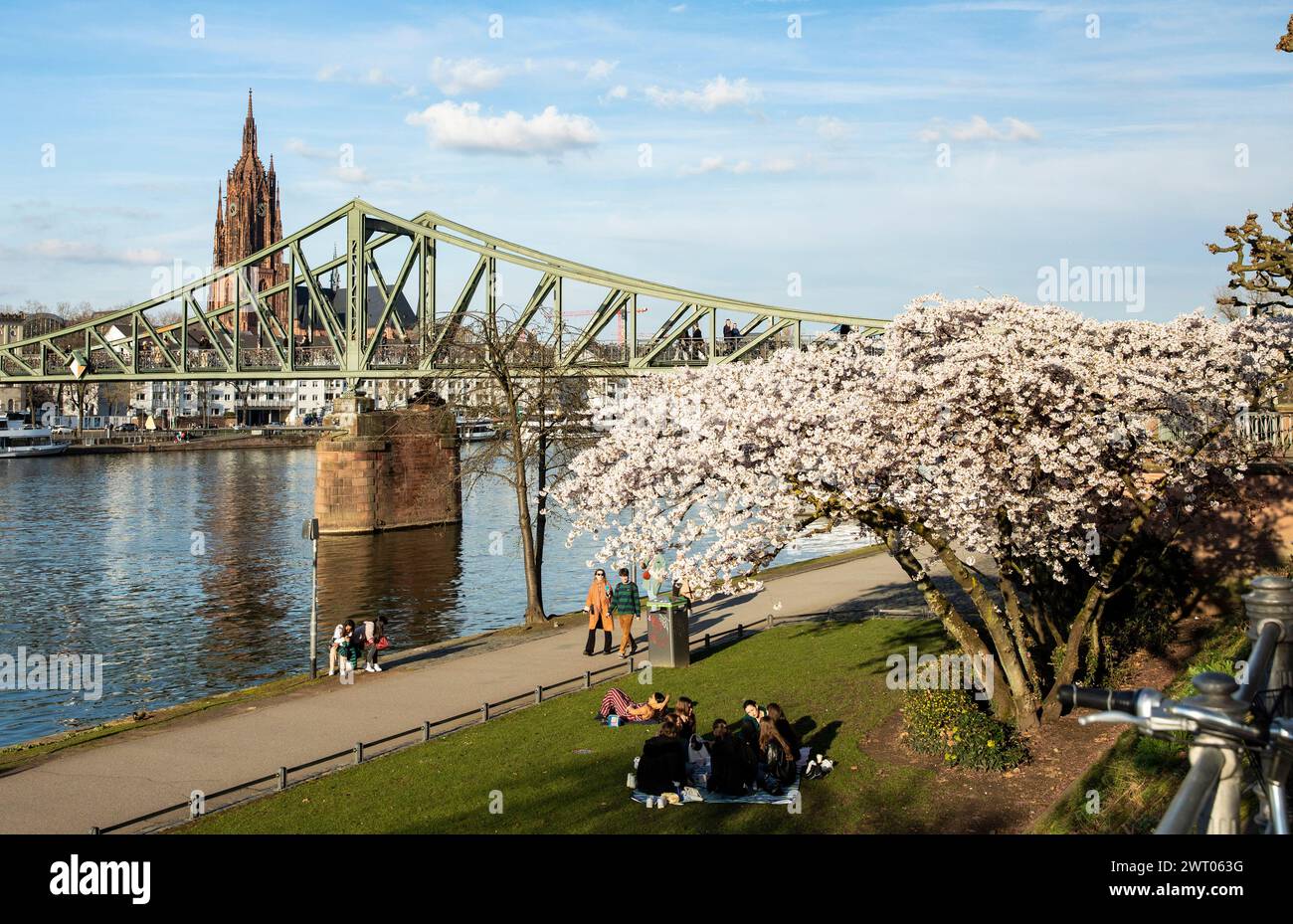 Frankfurt, Germany. 14th Mar, 2024. People enjoy leisure time under ...
