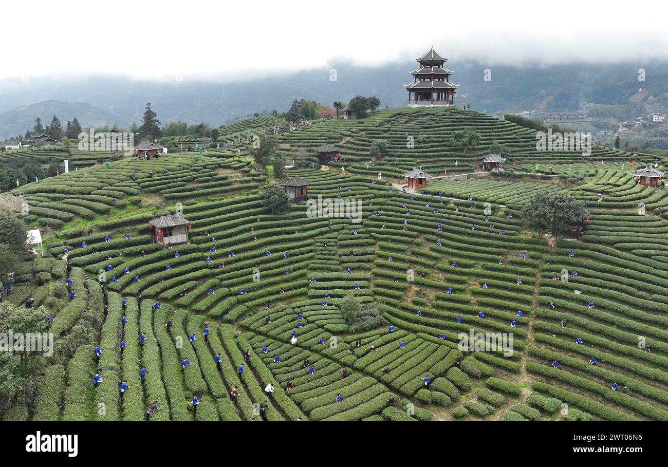 Liuzhou. 14th Mar, 2024. An aerial drone photo taken on March 14, 2024 ...