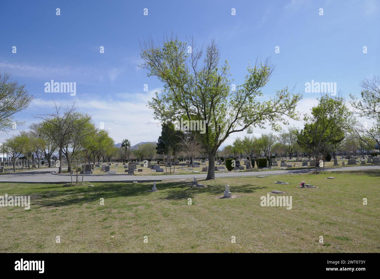 Las Vegas, Nevada, USA 7th March 2024 Woodlawn Cemetery at 1500 N. Las ...