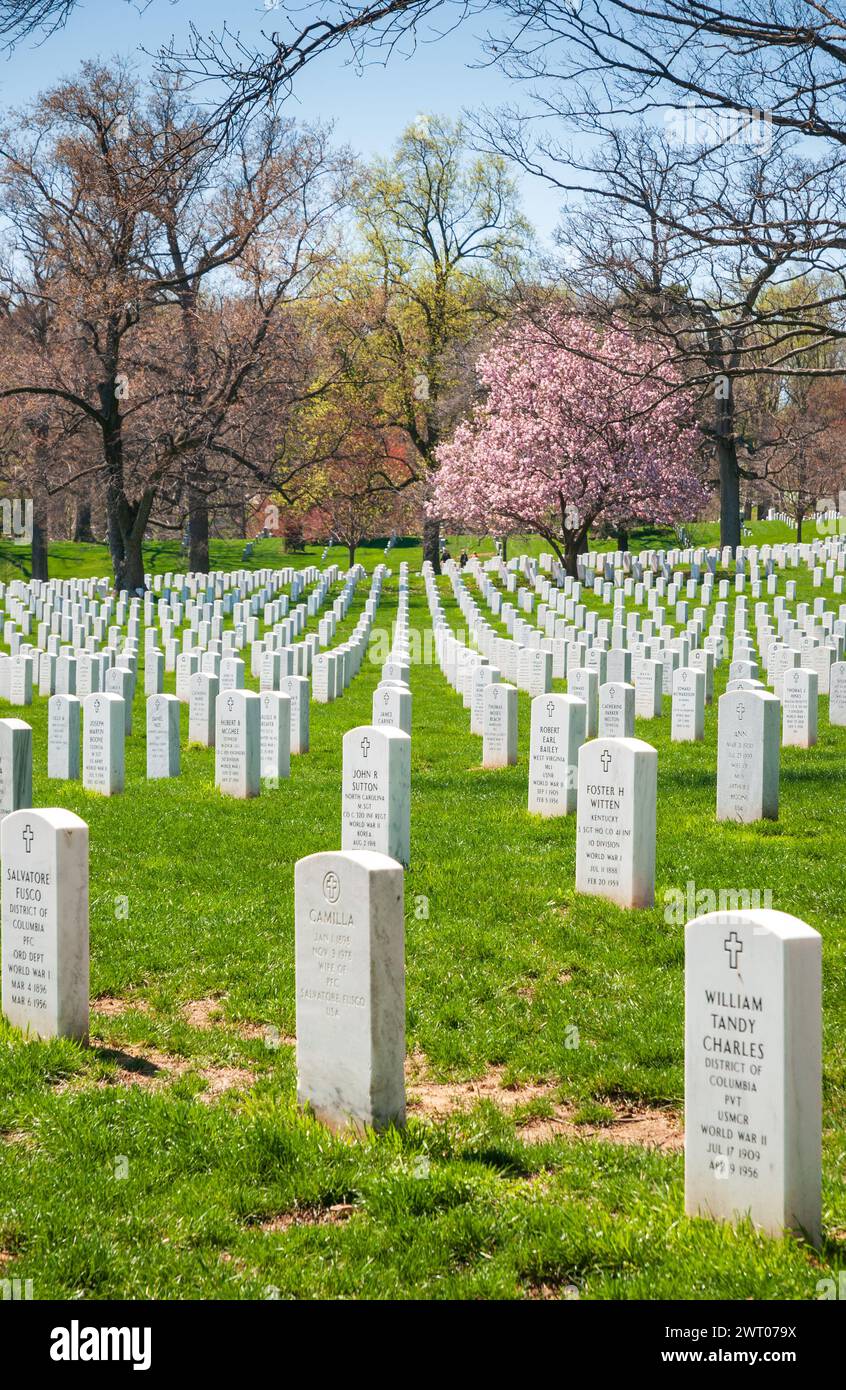 Arlington National Cemetery, United States National Cemetery System in ...
