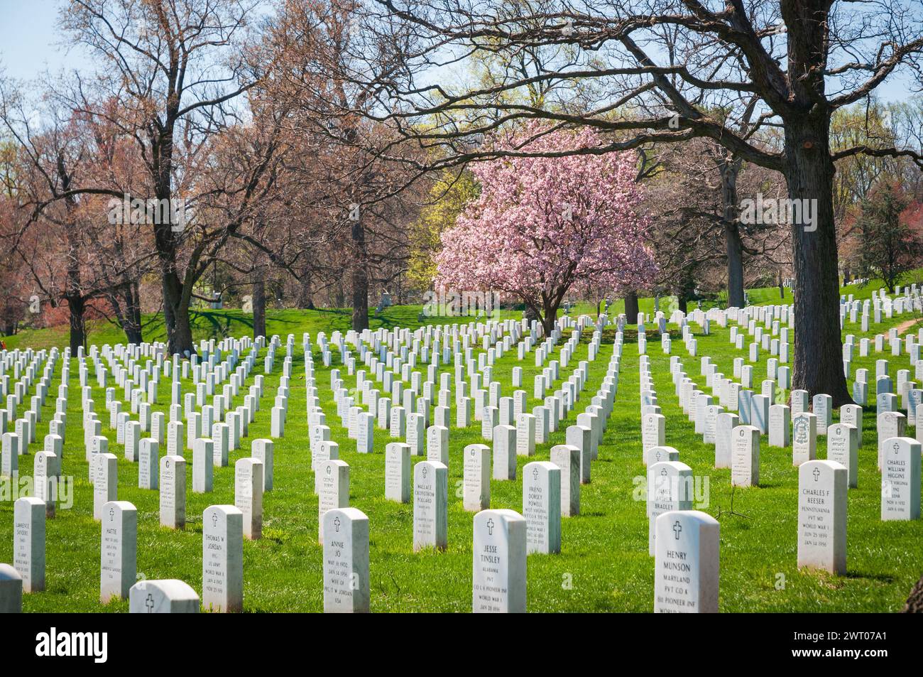 Arlington National Cemetery, United States National Cemetery System in ...