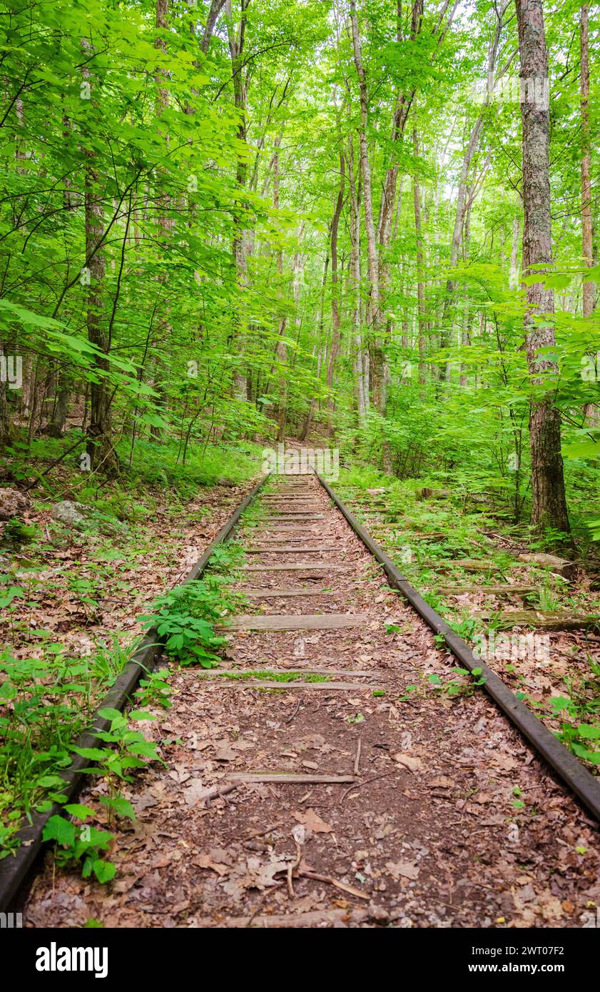 Abondoned Railway Tracks Along The Blue Ridge Parkway, National Parkway ...
