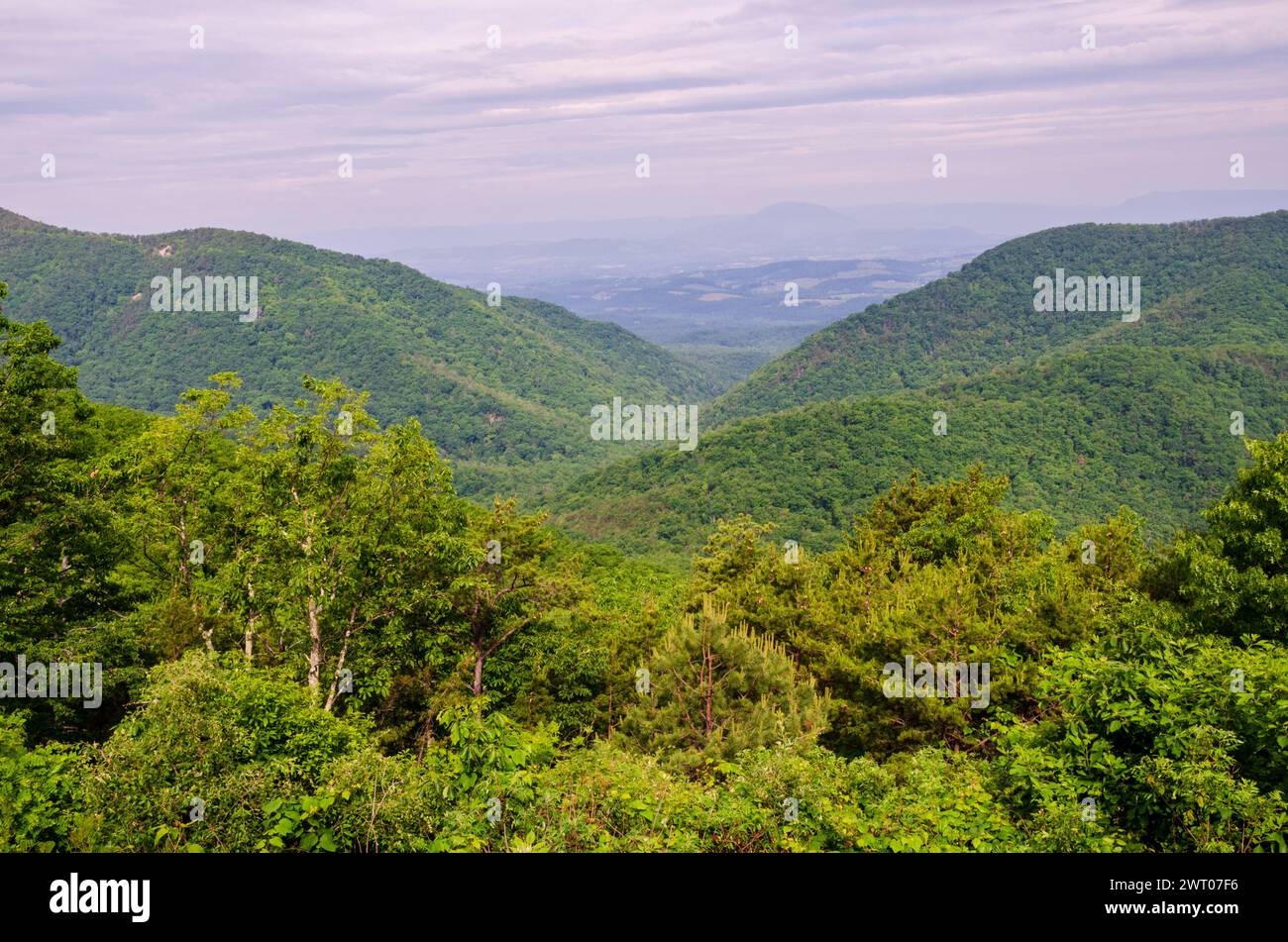 Summer Time Overlook at The Blue Ridge Parkway, National Parkway and ...