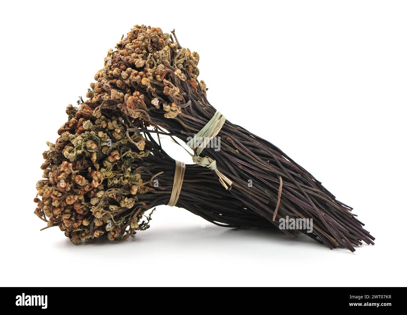 Dry fern bracken on white background Stock Photo - Alamy