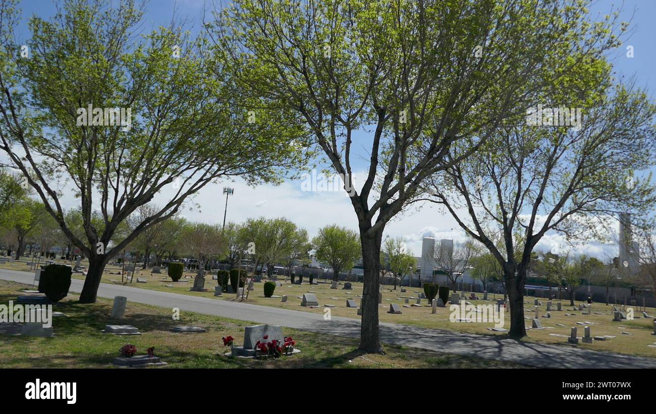 Las Vegas, Nevada, USA 7th March 2024 Woodlawn Cemetery at 1500 N. Las ...