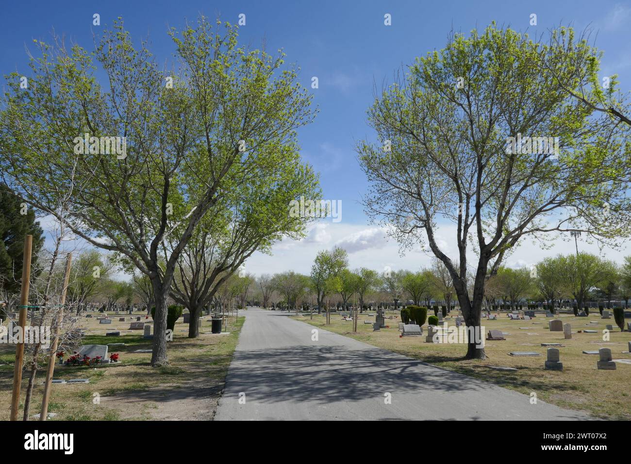 Las Vegas, Nevada, USA 7th March 2024 Woodlawn Cemetery at 1500 N. Las ...