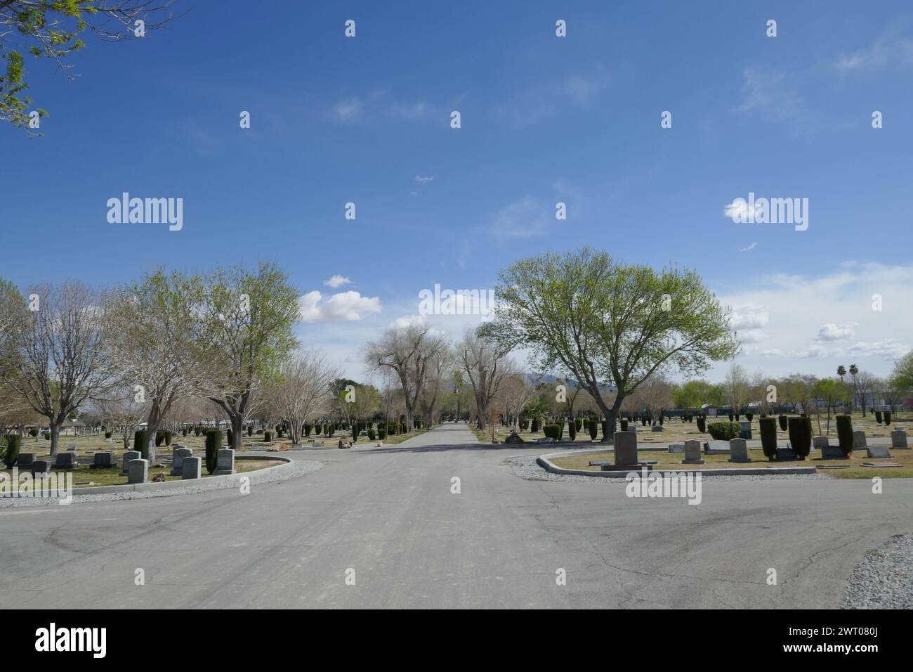 Las Vegas, Nevada, USA 7th March 2024 Woodlawn Cemetery at 1500 N. Las ...