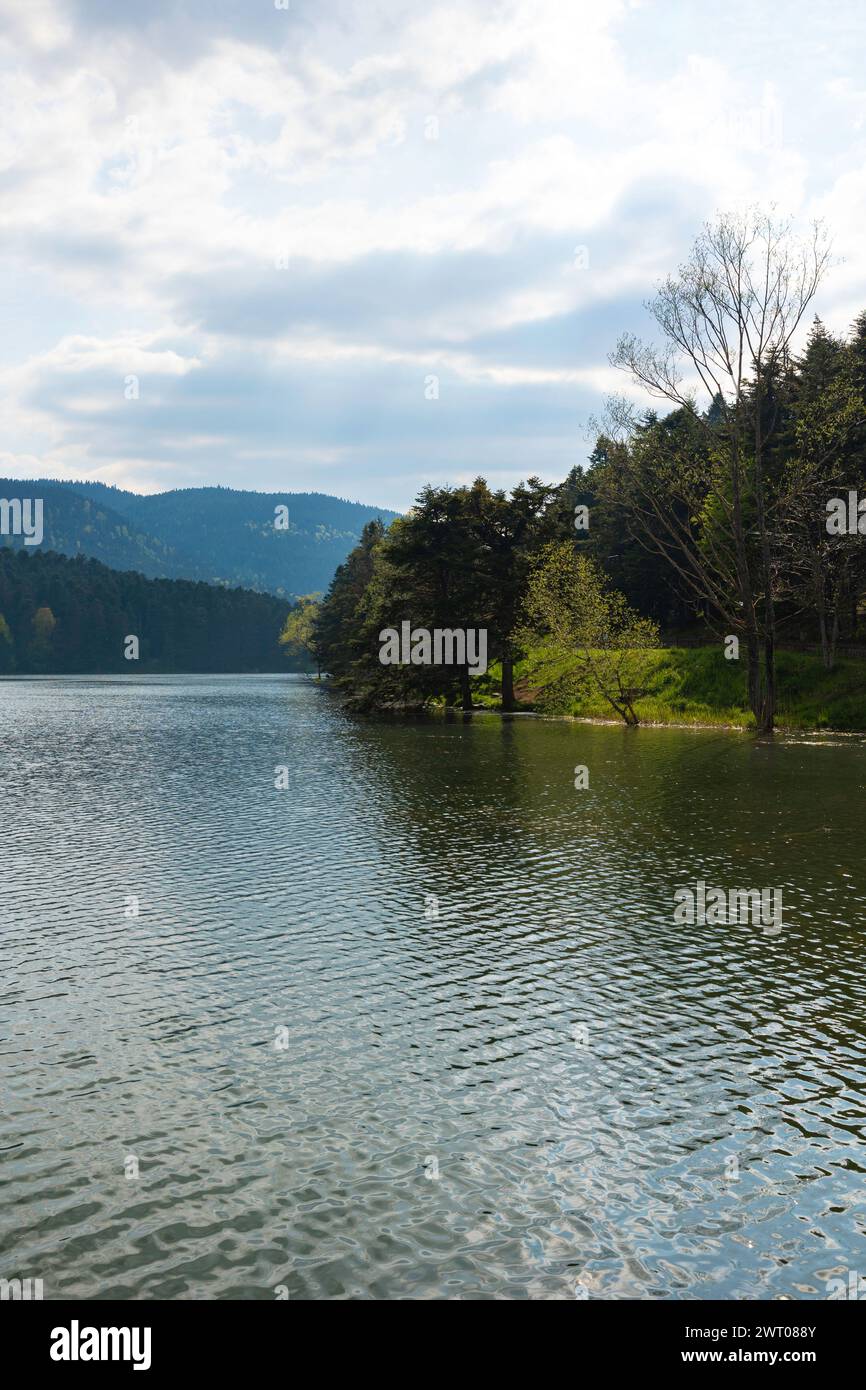 Forest and lake view with cloudy sky in vertical shot. Bolu Golcuk ...