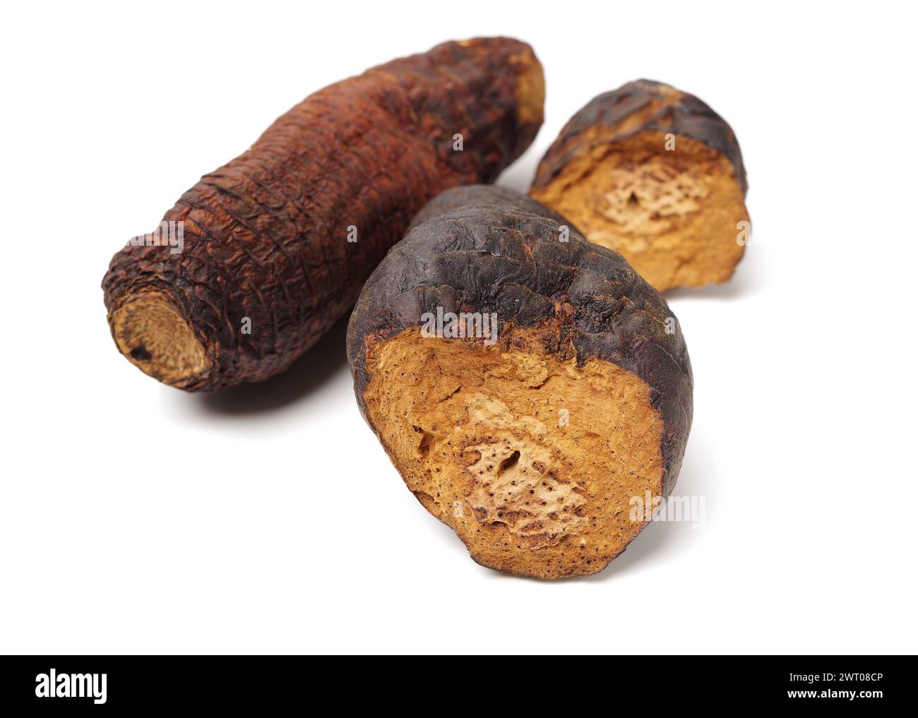 Cistanche deserticola hi-res stock photography and images - Alamy