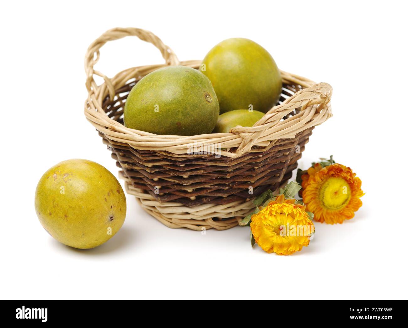 Golden Luo Han Guo on white background Stock Photo - Alamy