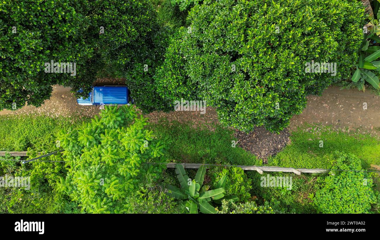 An Aerial view of a police blue car parked beside a forest in Africa ...