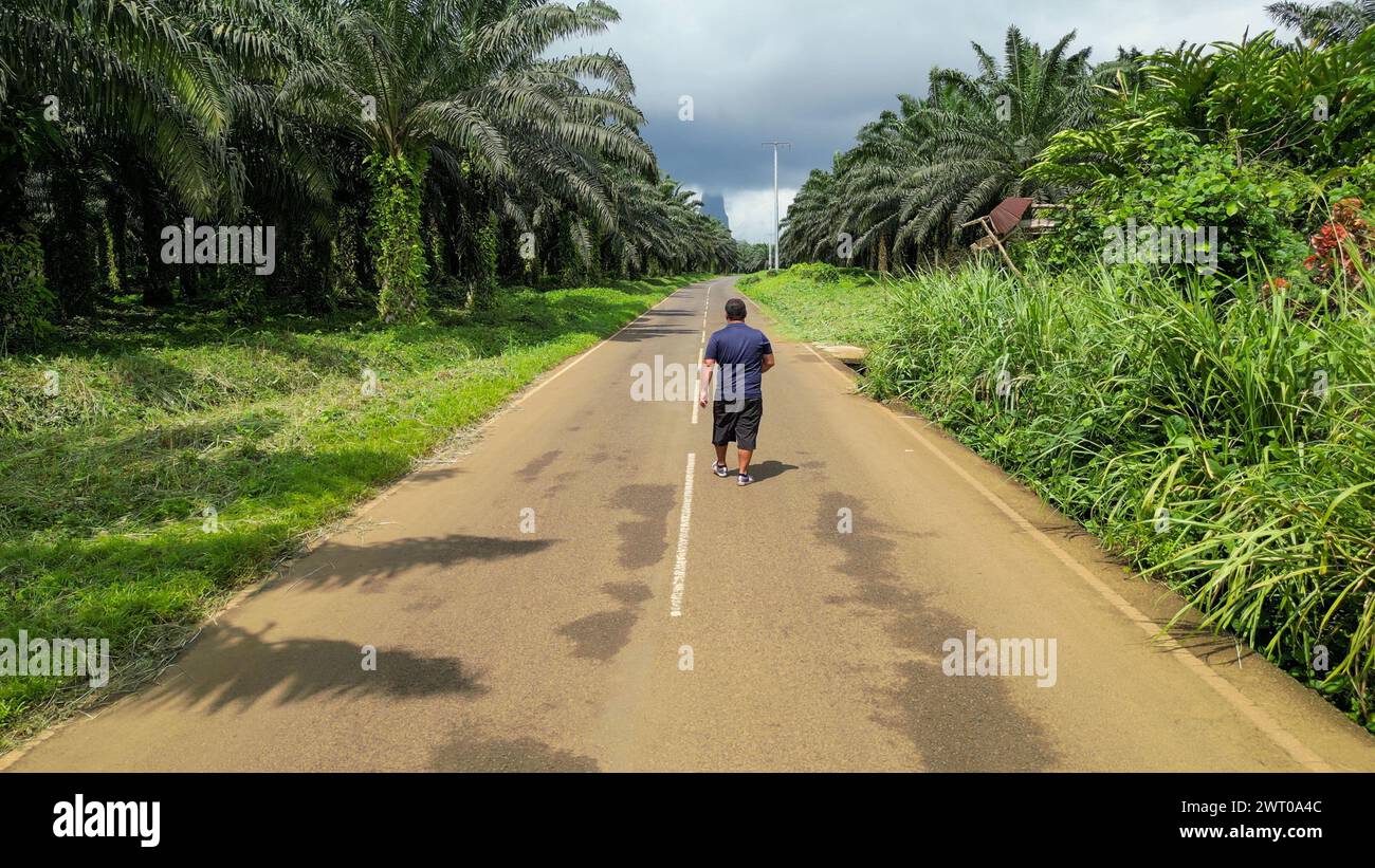 Lush tropical pathway lined hi-res stock photography and images - Alamy