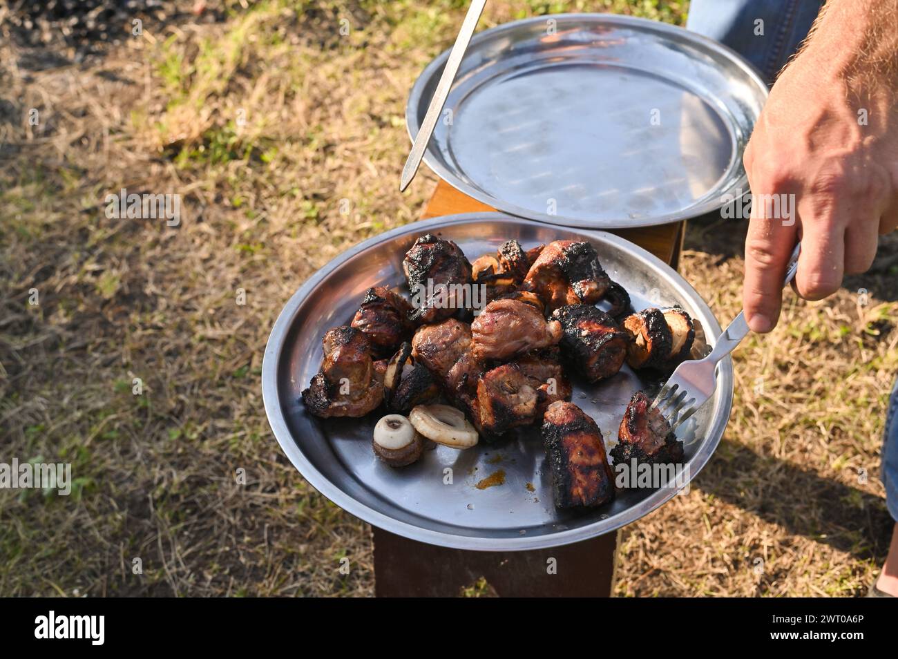 ready-made meat kebab on a tray Stock Photo - Alamy