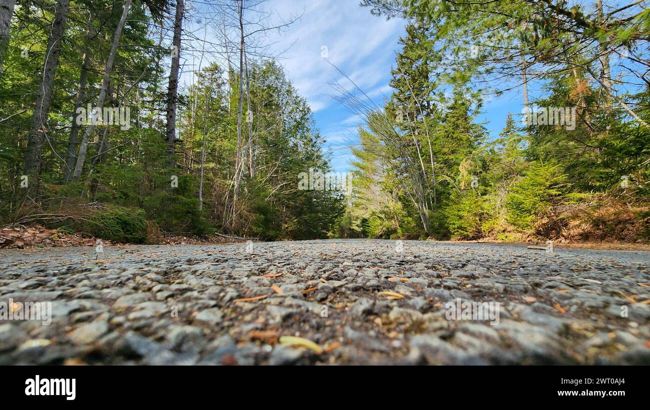 Road side bushes hi-res stock photography and images - Alamy